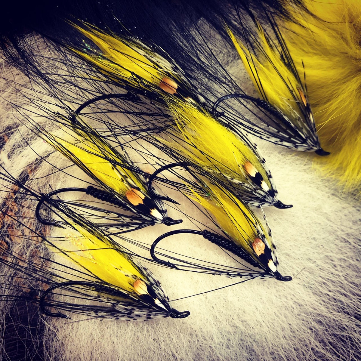 Yellow Picasse – La Boite a Mouche